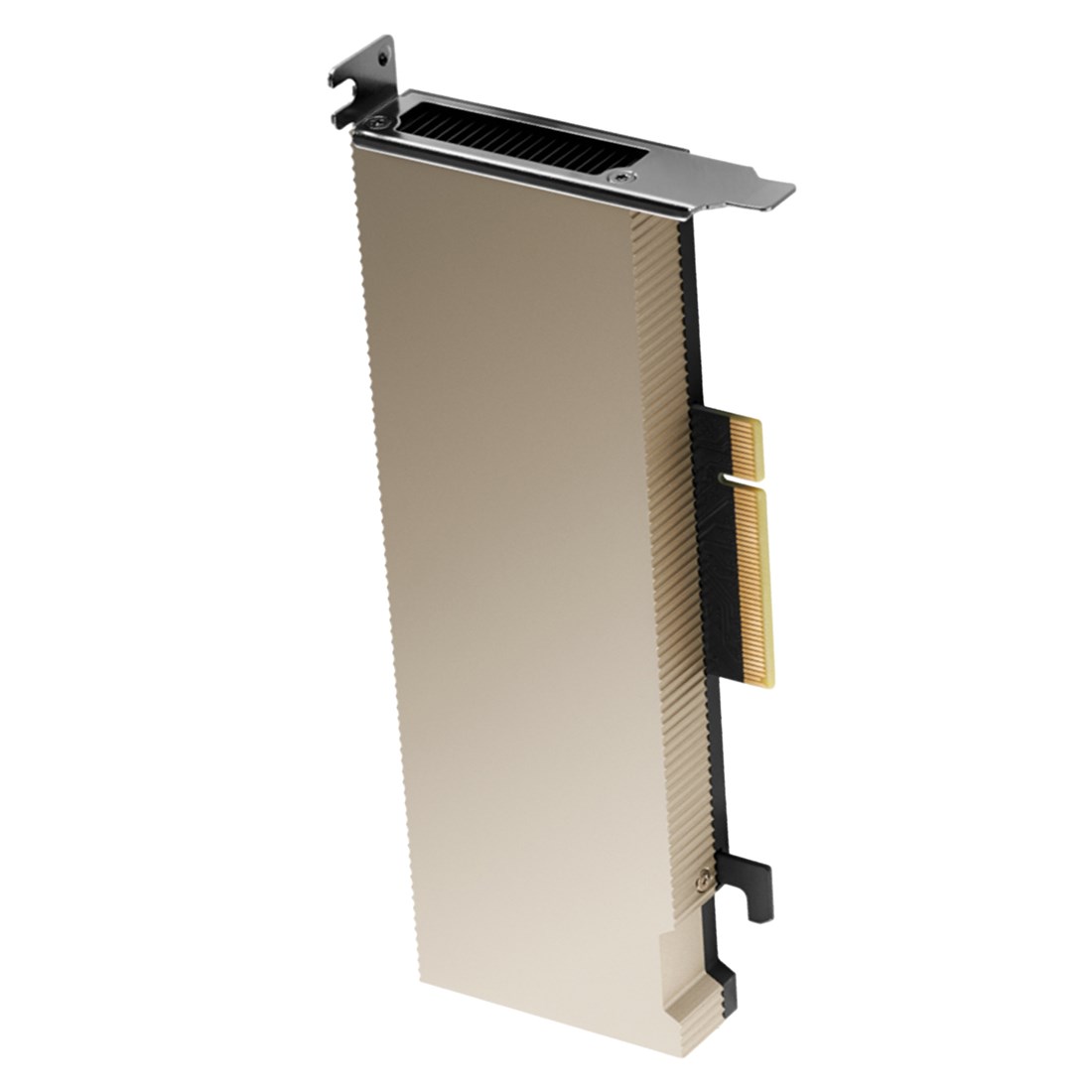 NVIDIA 900-2G179-0020-000 TESLA A2 16GB GDDR6 PCIe 4.0 x8 Fanless low ...